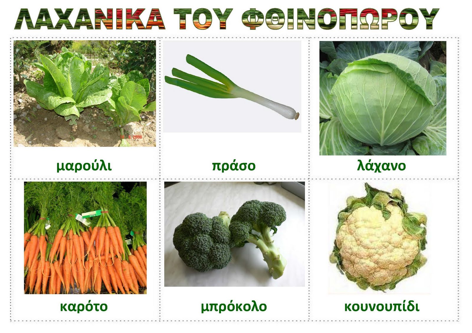 ΤΑ ΛΑΧΑΝΙΚΑ